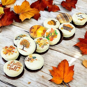 Harvest Dreams Collection | Cocoa Harvest Delight French Macarons - Etsy