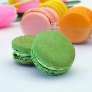 Tropical Macaron Set | Free Shipping. - Etsy
