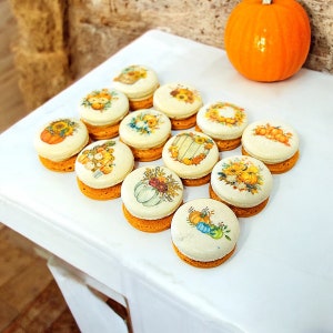Harvest Dreams Collection | Pumpkin Patch Delight French Macarons - Etsy