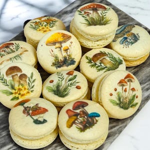 Wild Mushroom Macaron Gift Box - Etsy