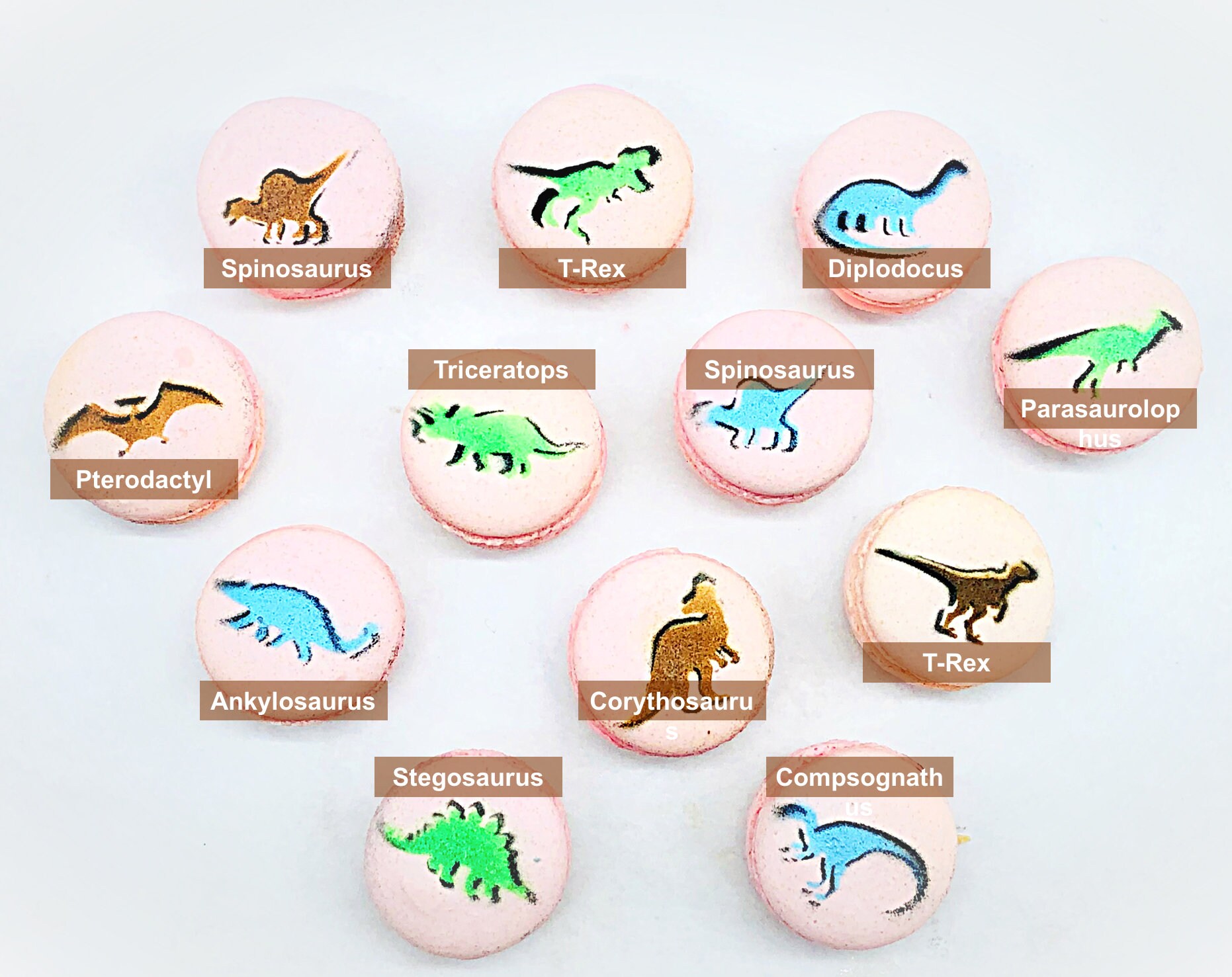 Dinosaur French Macaron Set: Jurassic Party Favors (12 Pack) - Etsy