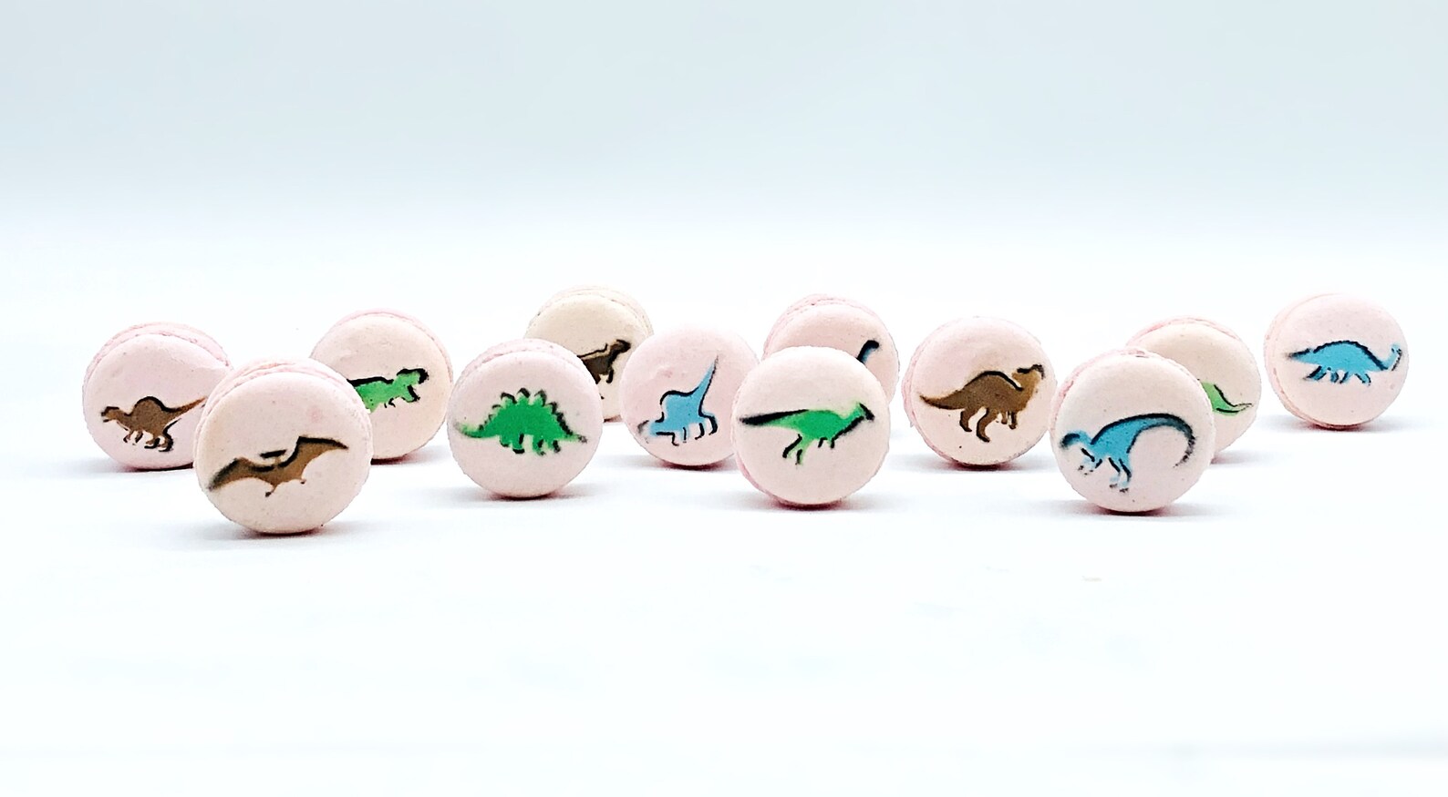 Dinosaur French Macaron Set: Jurassic Party Favors (12 Pack) - Etsy