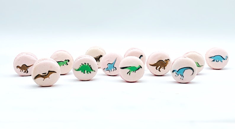 Dinosaur French Macaron Set 12 Pack Great Addition to Your - Etsy