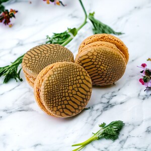 Safari Printed French Macaronset | Available in 6, 12 & 24 Pack - Etsy