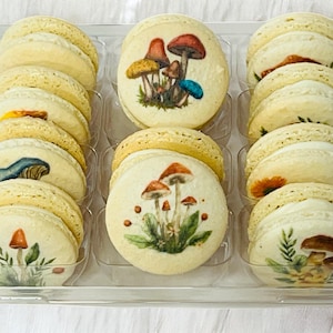Wild Mushroom Macaron Gift Box - Etsy