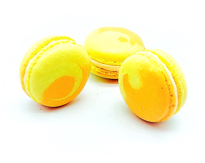 6 Pack Blue Raspberry French Macarons - Etsy