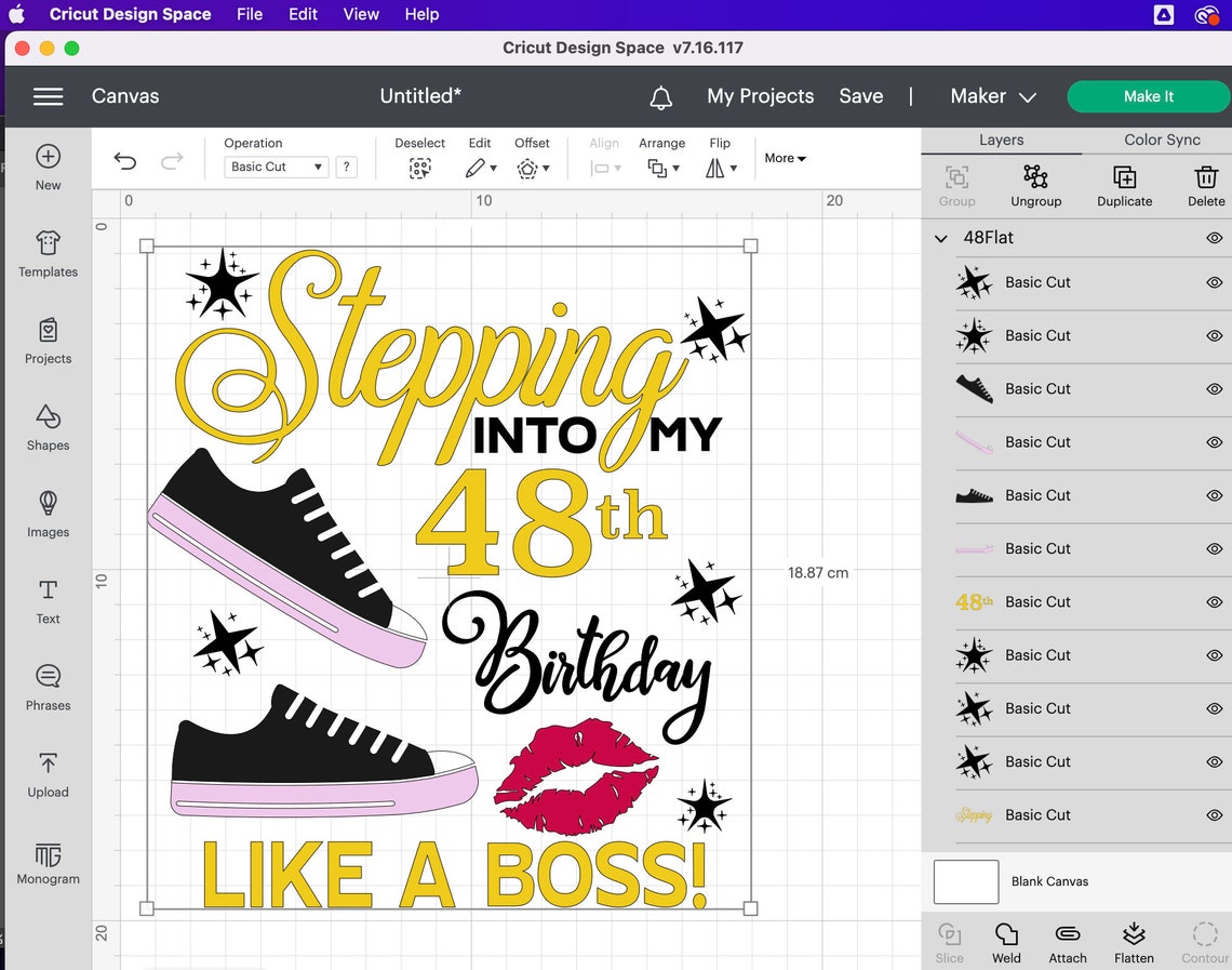 48th Birthday Svg Stepping Into My 48th Birthday Like a Boss - Etsy