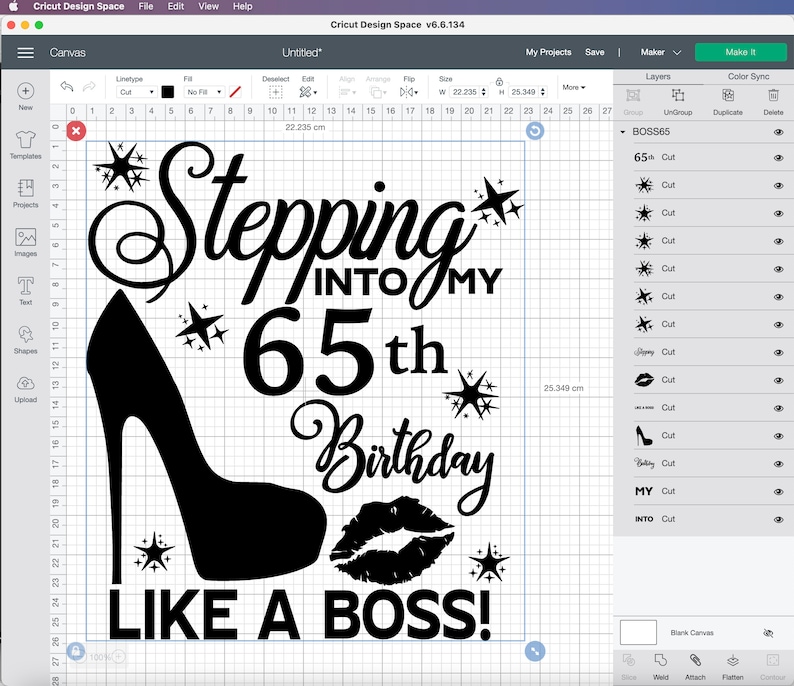 Stepping Into My 65th Birthday Like a Boss Svg 65 Birthday - Etsy