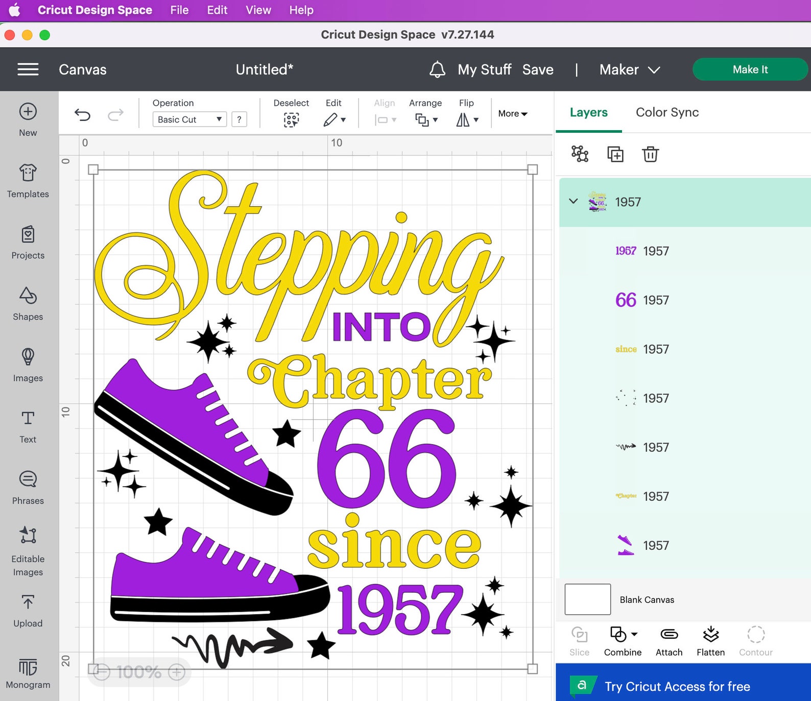 Stepping Into Chapter 66 Fabulous Since 1957 Svg, 66th Birthday Svg ...