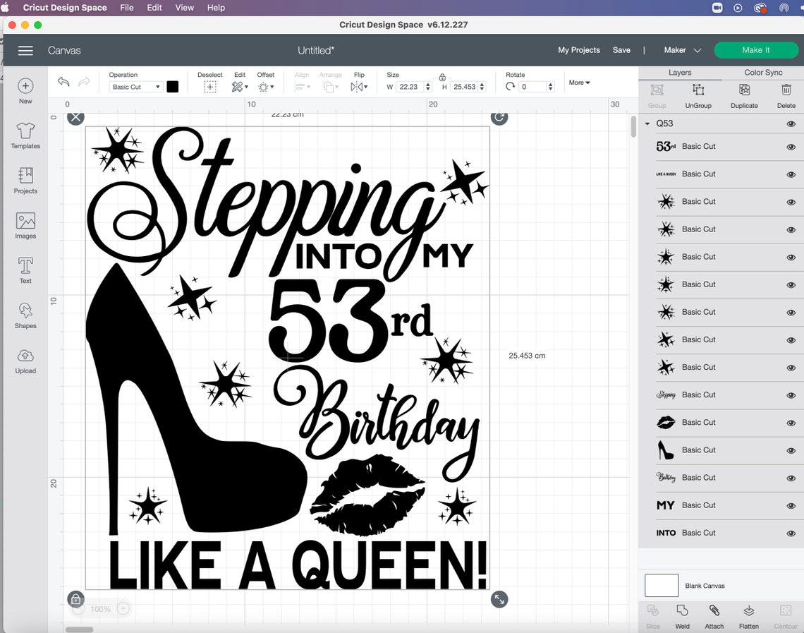 Stepping Into My 53rd Like a Queen SVG, 53rd Birthday Svg, 53 Birthday ...