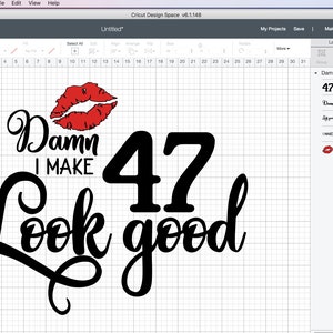 Damn I Make 47 Look Good SVG, 47 and Fab Svg, 47th Birthday Svg for ...