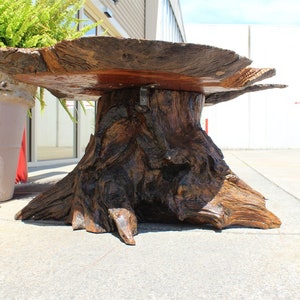 1.2M Big Mallee Tree Root Coffee Table, Rustic Decor, Pick up From 3134 ...