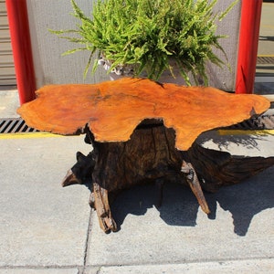 1.2M Big Mallee Tree Root Coffee Table, Rustic Decor, Pick up From 3134 ...