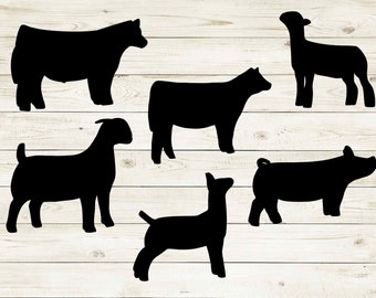 Show Steer Stickers - Etsy