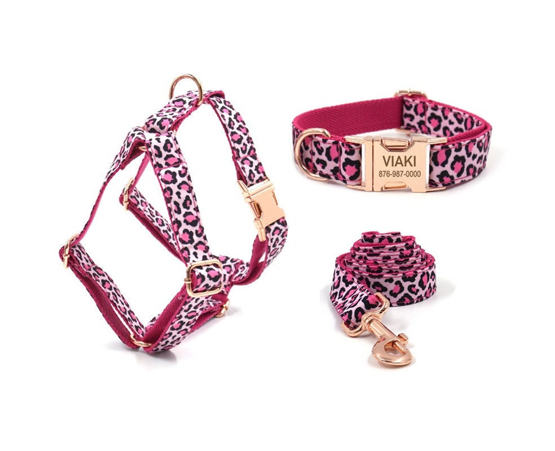 Leopard Print Harness and Collar, Personalized Harness and Collar, Dog ...
