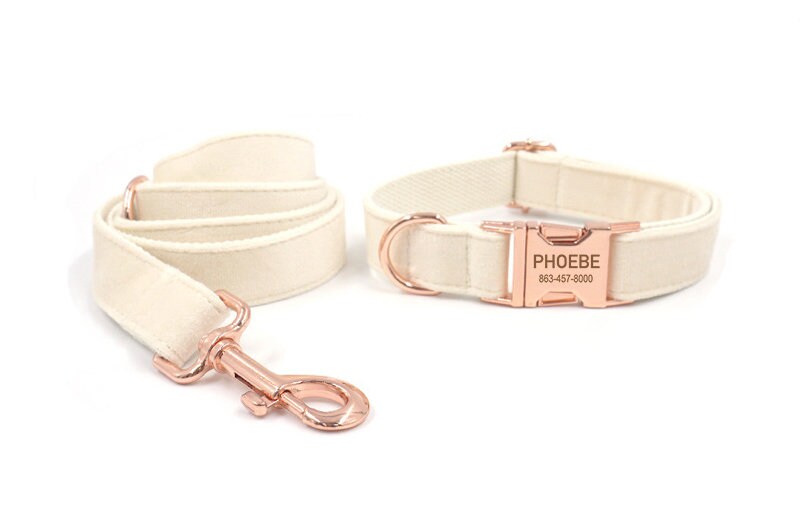 Personalized Dog Collar, Creamy Dog Collar, Dog Collar and Name, Dog ...