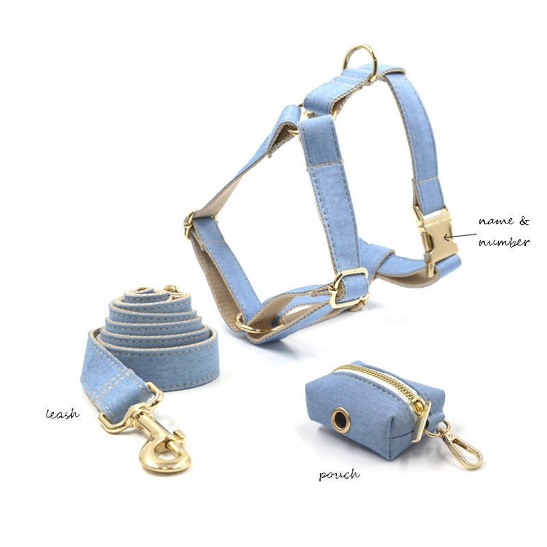 Dog Harness Personalized, Dog Harness With Name, Dog Harness and Leash ...
