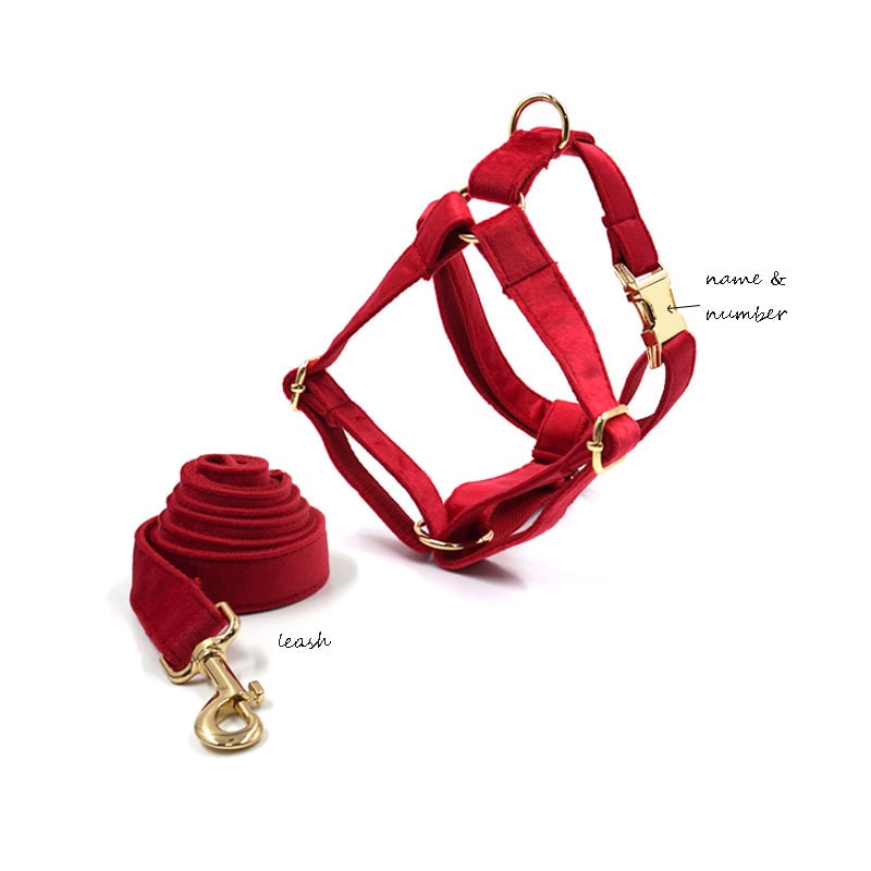 Dog Harness Personalized, Dog Harness With Name, Green and Red Velvet ...