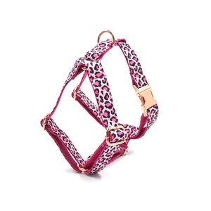 Leopard Print Harness and Collar Personalized Harness and - Etsy