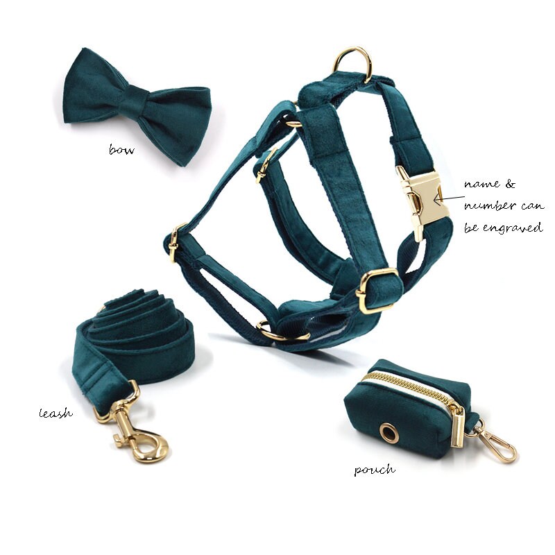 Dog harness Personalized dog Harness with name Green and | Etsy