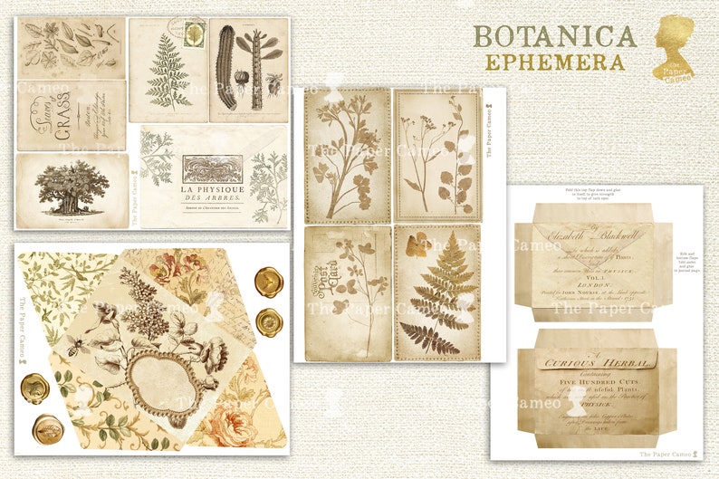 BOTANICA Ephemera Botanical Printable Digital Vintage - Etsy