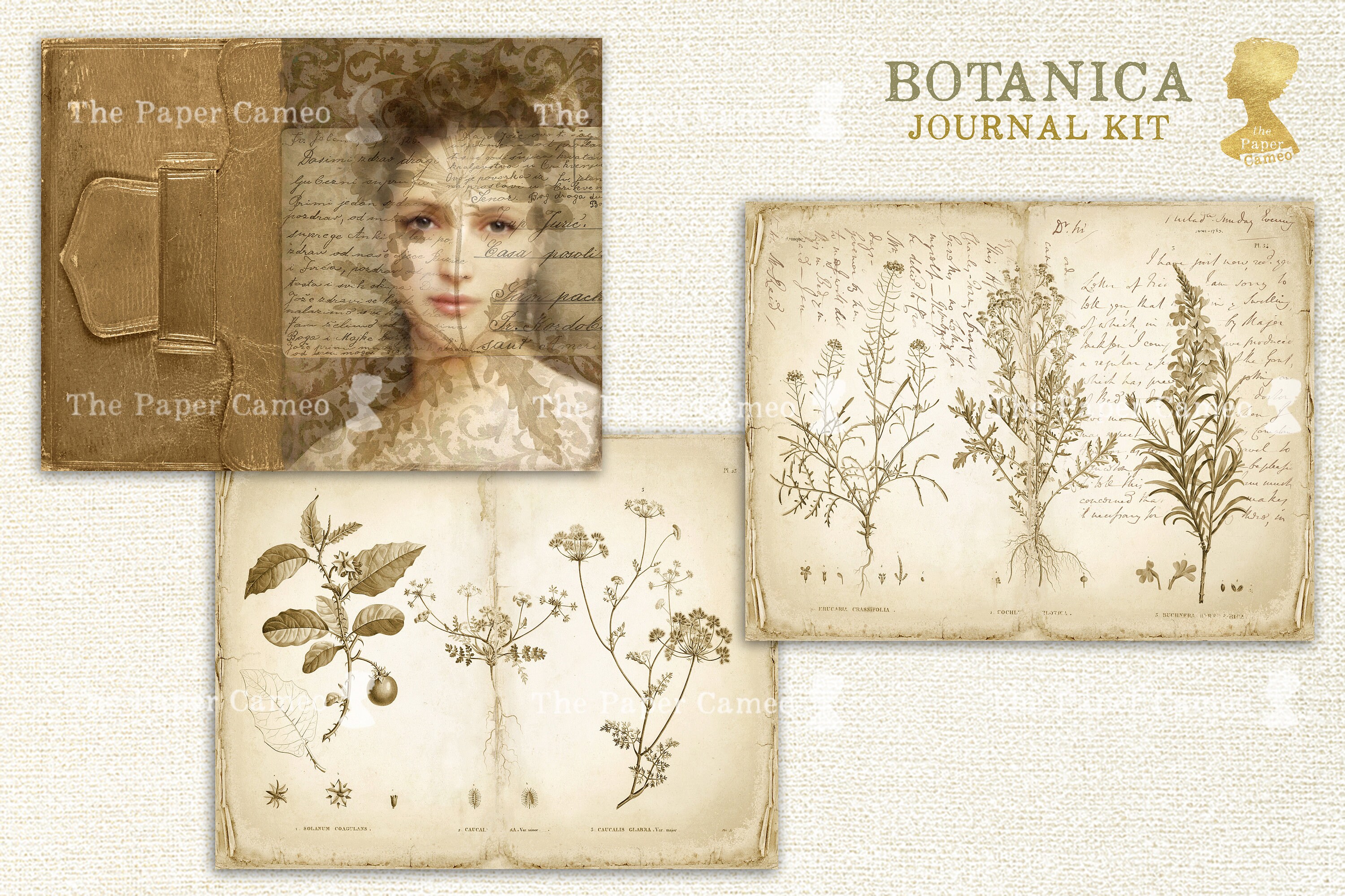 BOTANICA Journal Printable Digital Download Vintage Botanical - Etsy