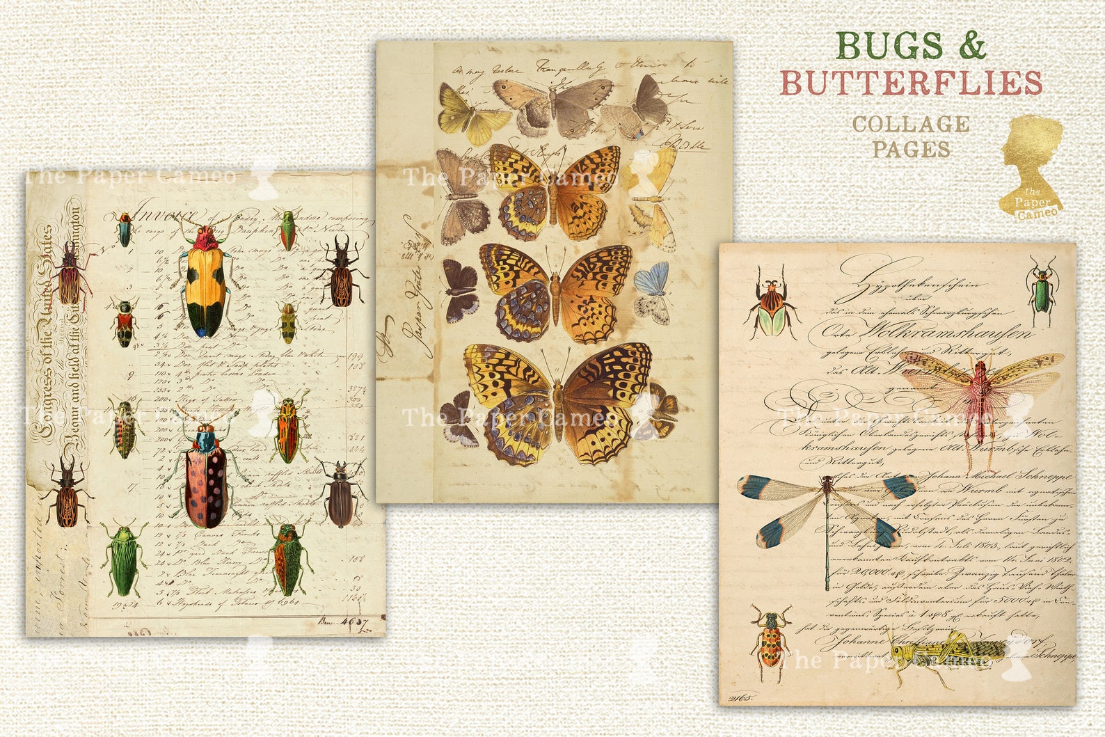 BUGS and BUTTERFLIES Printable Digital Antique Insect - Etsy