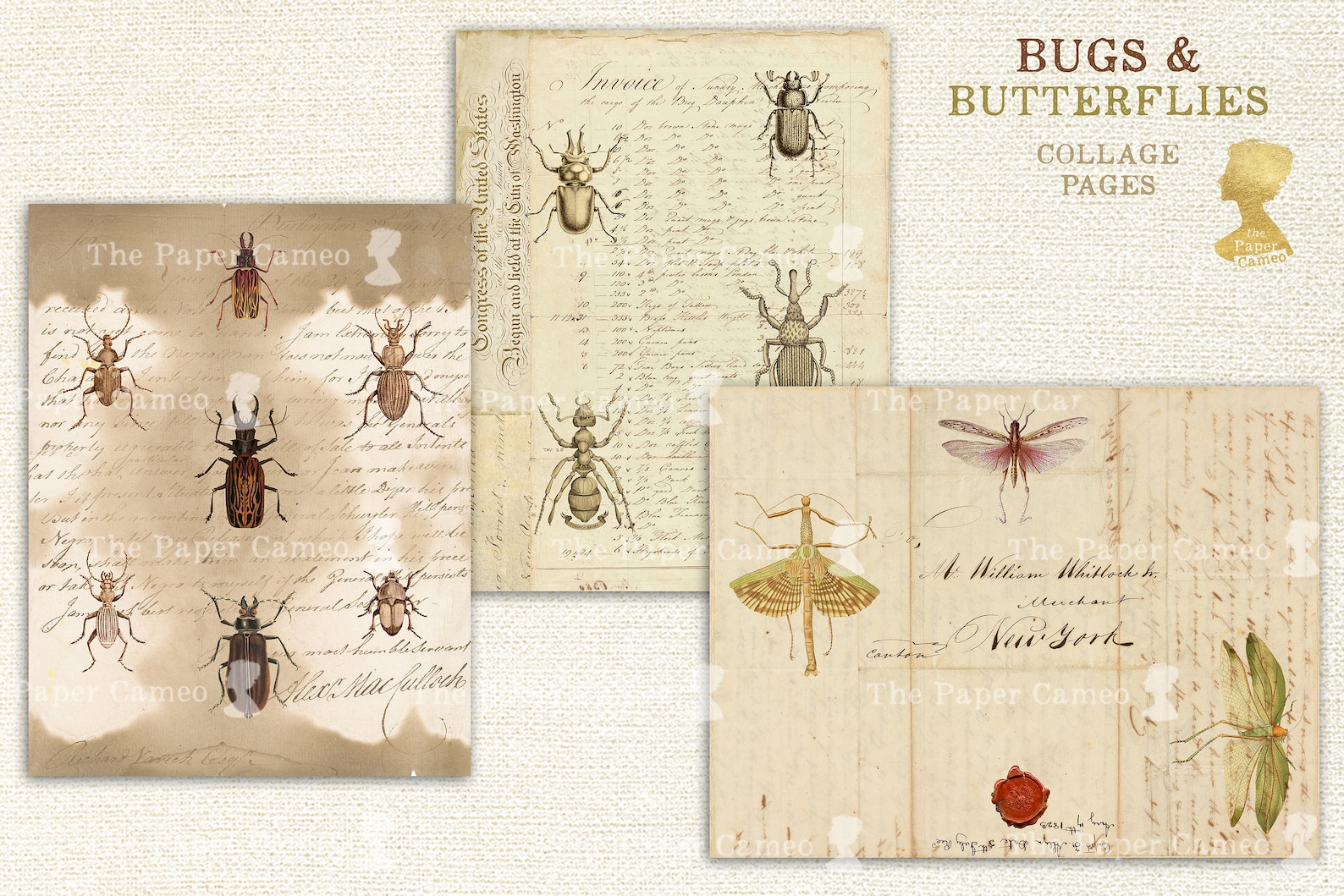 BUGS and BUTTERFLIES Printable Digital, Antique Insect Illustration ...
