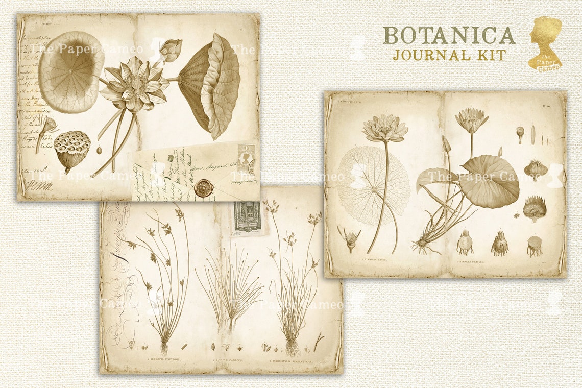 BOTANICA Journal Printable Digital Download Vintage Botanical - Etsy