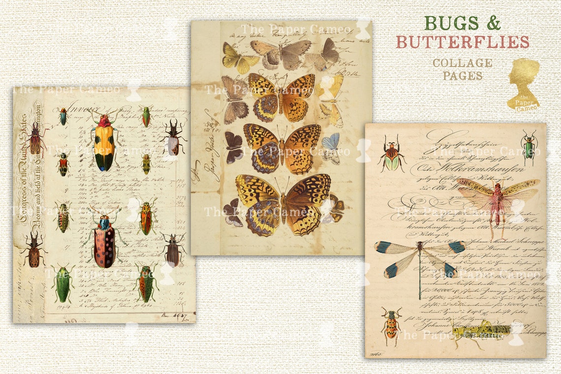 BUGS and BUTTERFLIES Printable Digital, Antique Insect Illustration ...