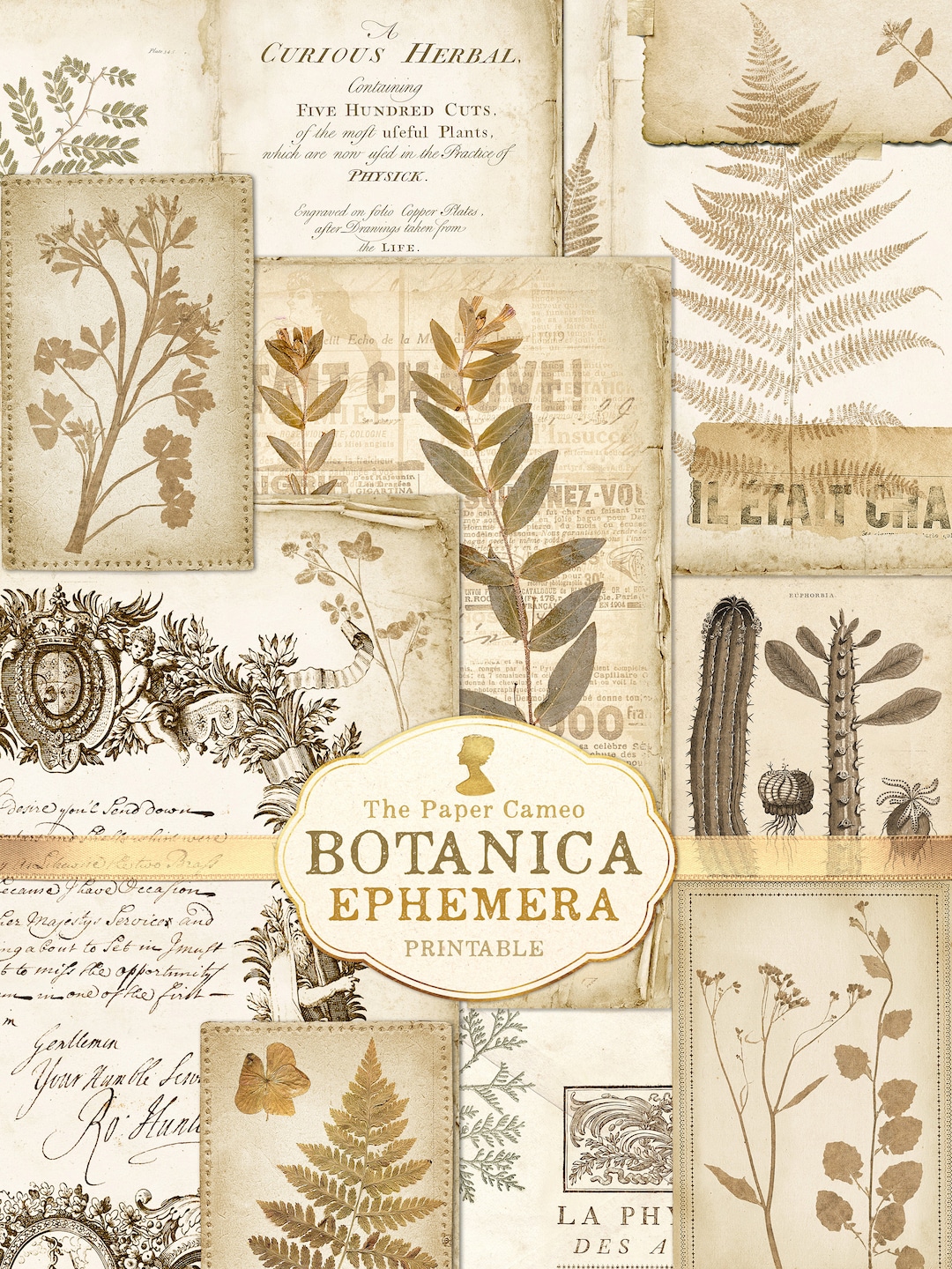 BOTANICA Ephemera, Botanical Printable Digital, Vintage Botanical ...