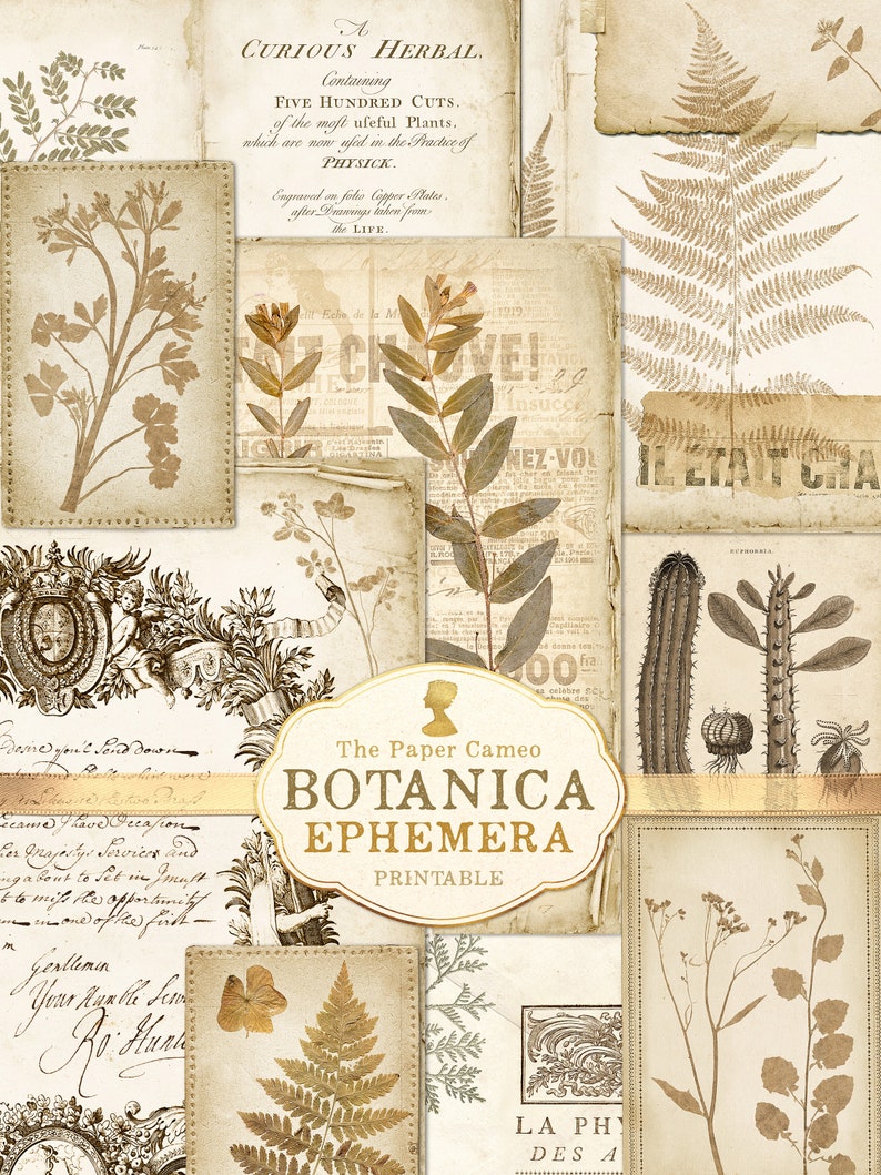 BOTANICA Ephemera Botanical Printable Digital Vintage - Etsy