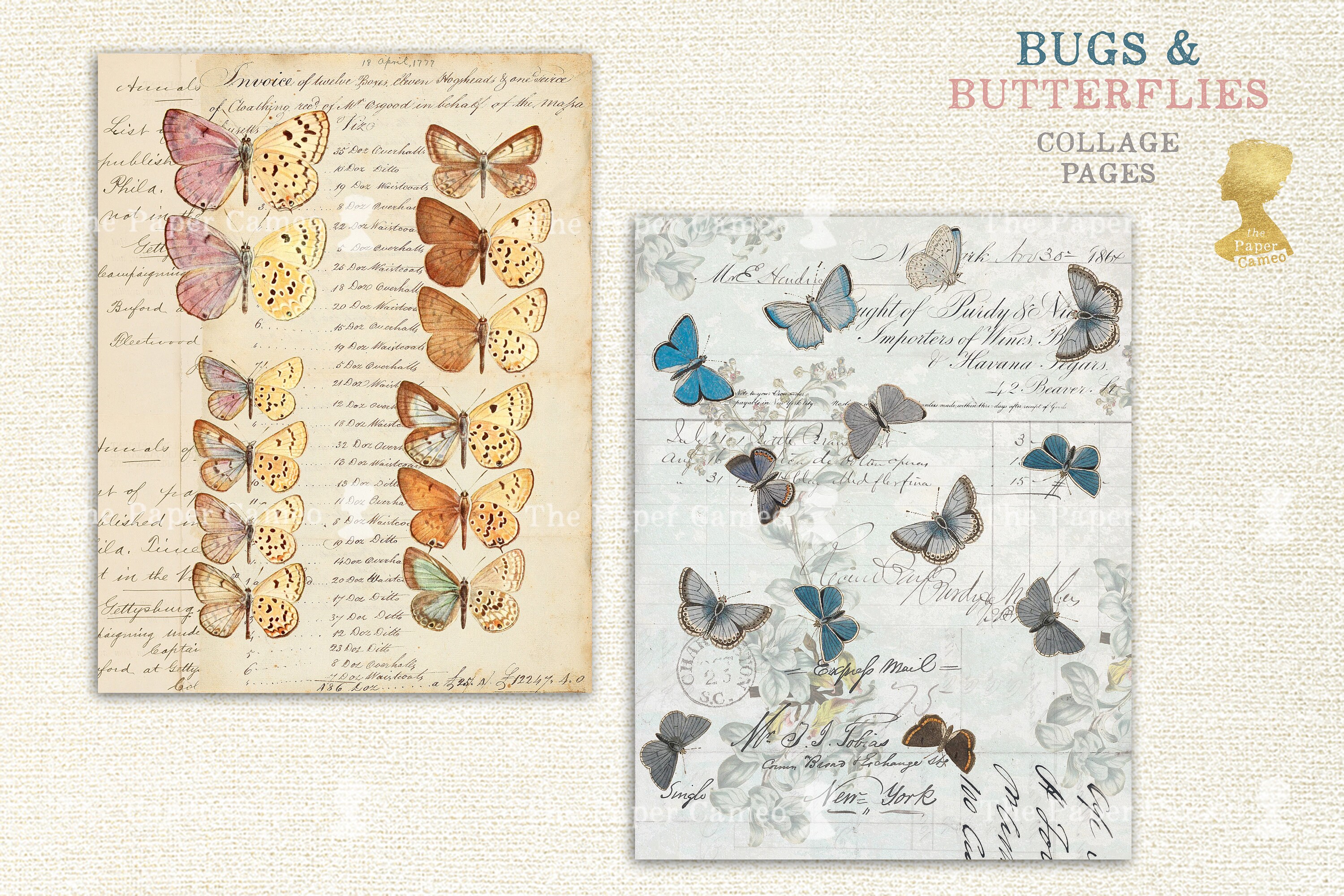 BUGS and BUTTERFLIES Printable Digital Antique Insect - Etsy