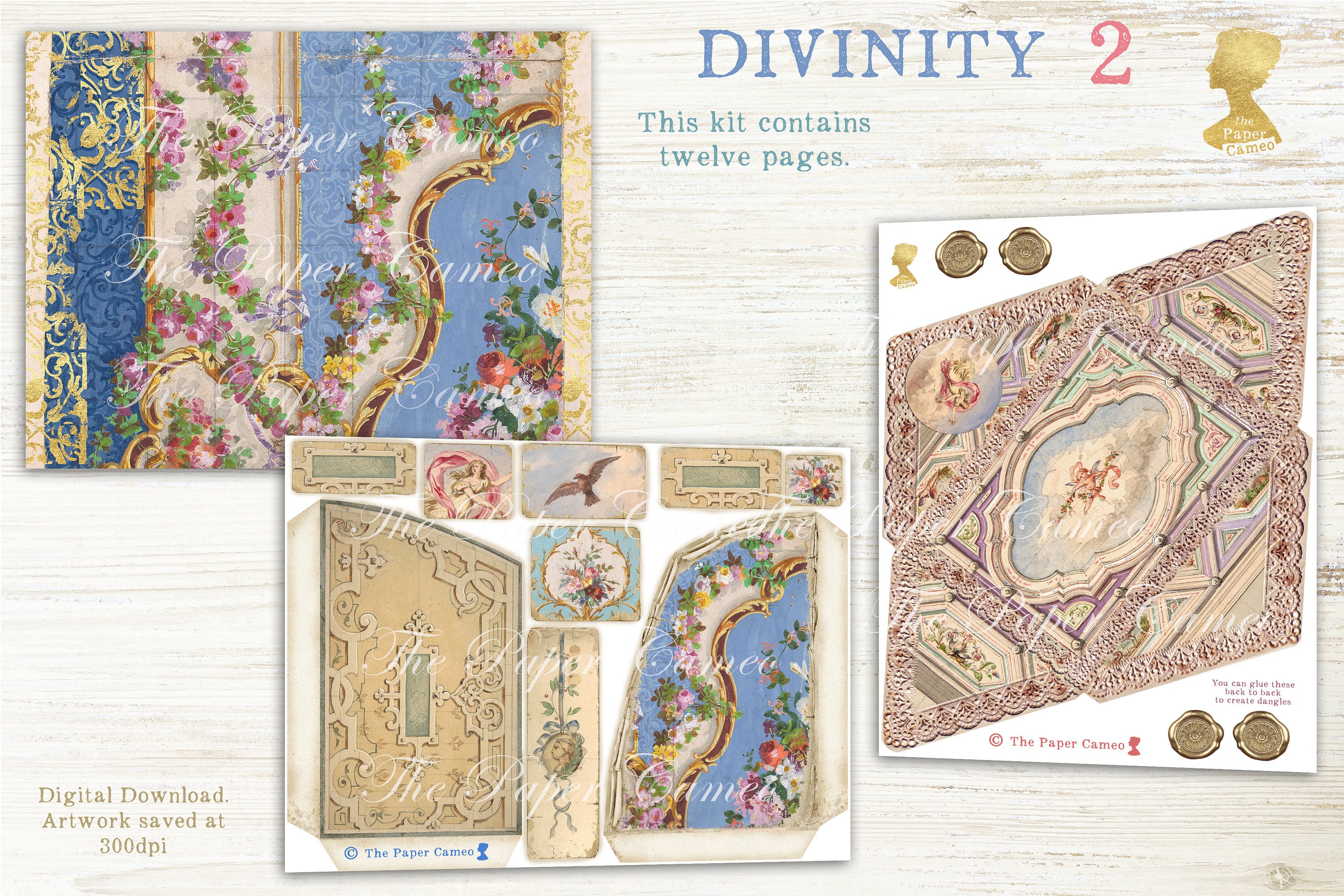 DIVINITY 2 Ephemera, Antique French Style Ephemera Printable, Marie ...
