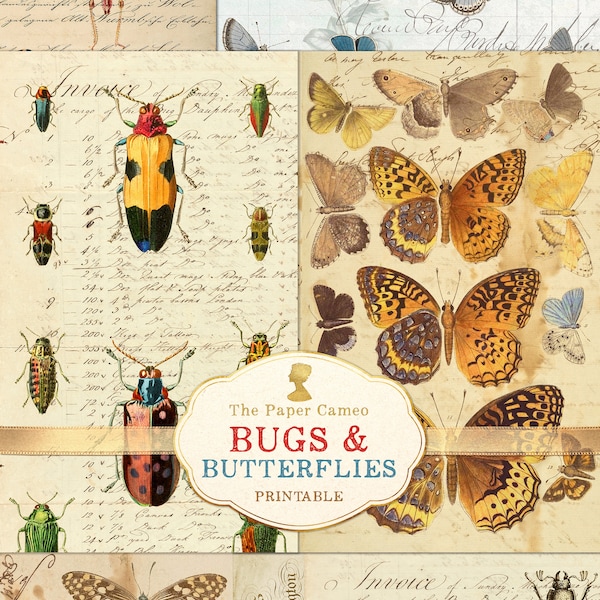 Insect Illustration - Etsy