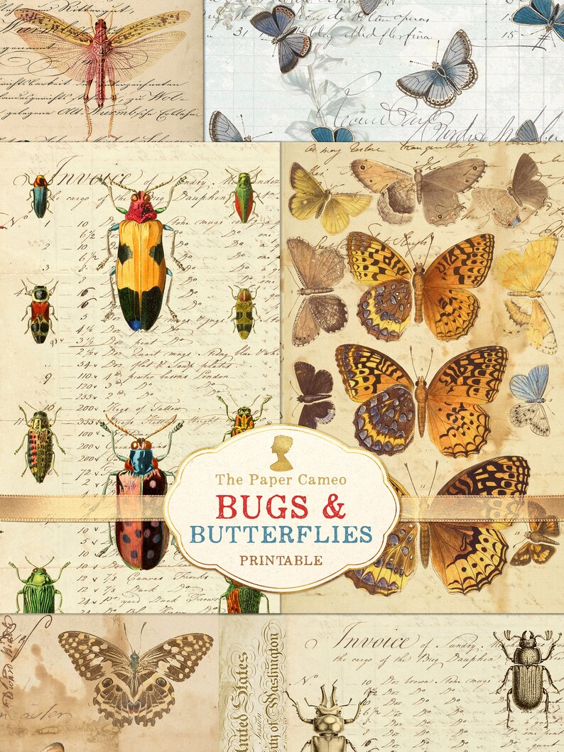 BUGS and BUTTERFLIES Printable Digital, Antique Insect Illustration ...