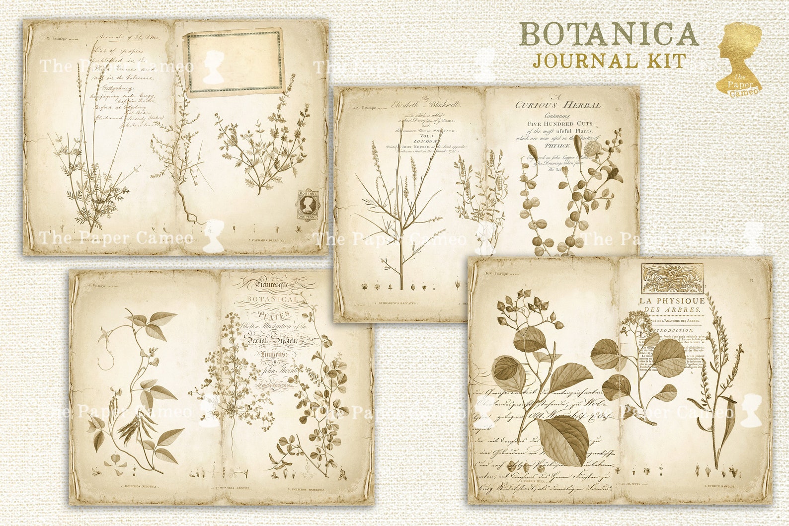 BOTANICA Journal Printable Digital Download Vintage Botanical - Etsy