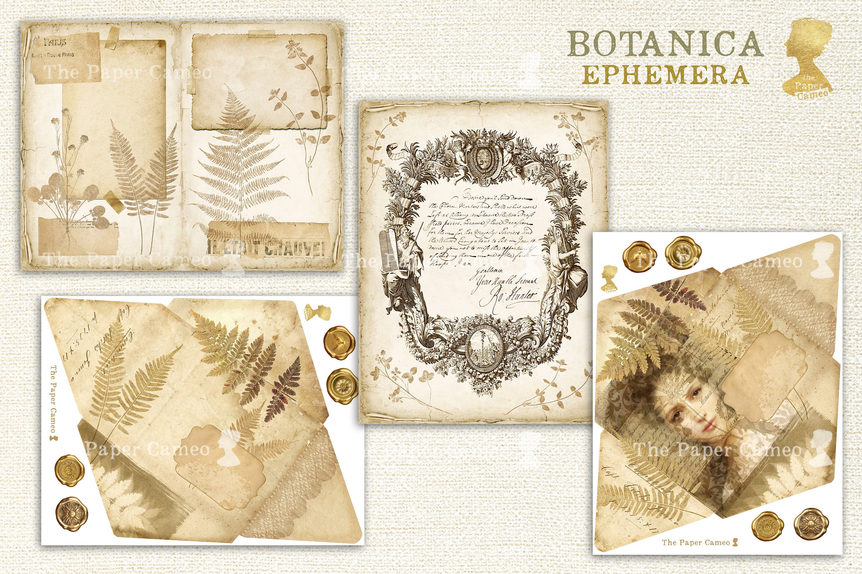 BOTANICA Ephemera Botanical Printable Digital Vintage - Etsy Canada
