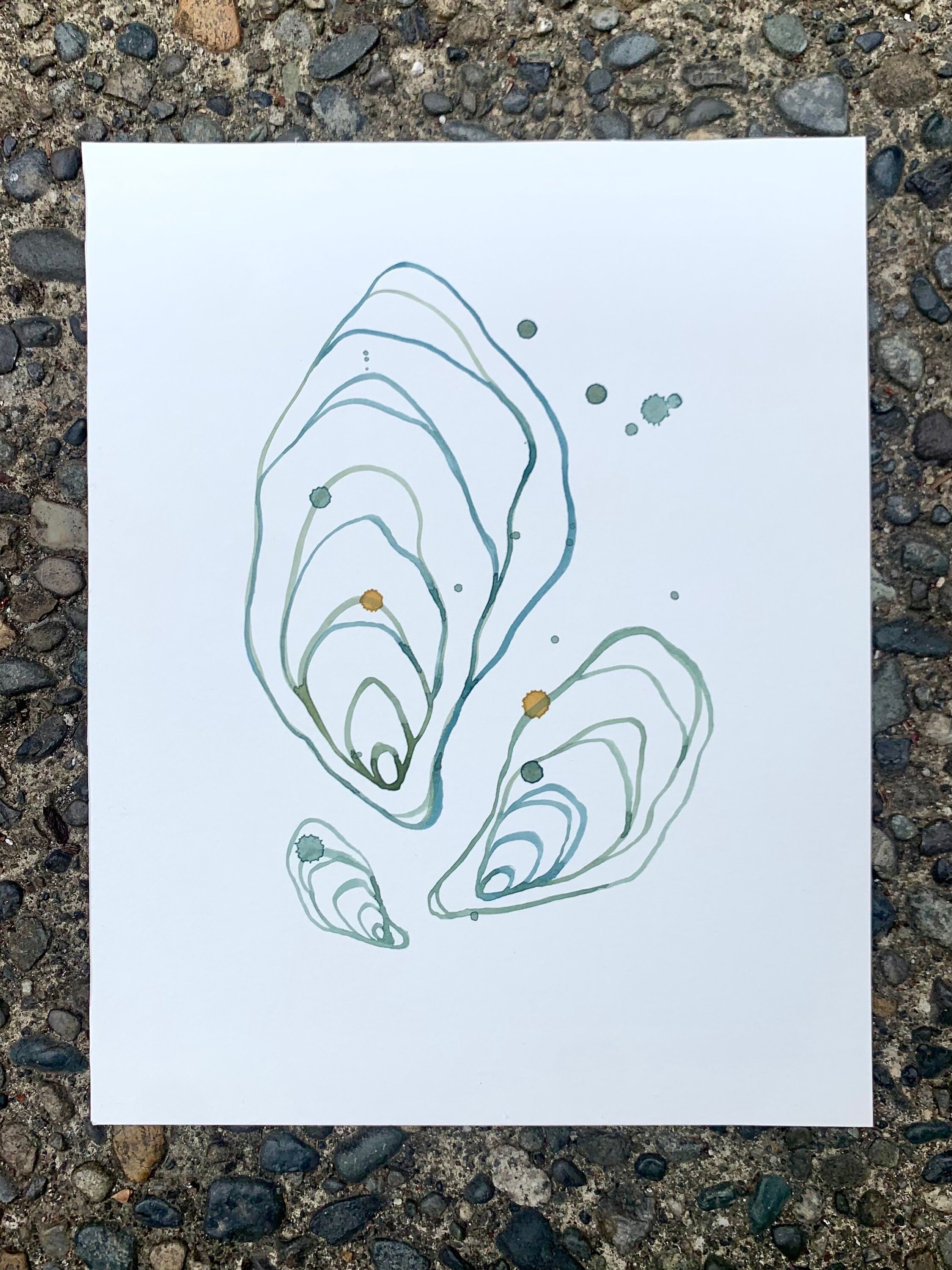 Oyster Shells, Minimalist Watercolor, original Not a Print, 8x10 - Etsy