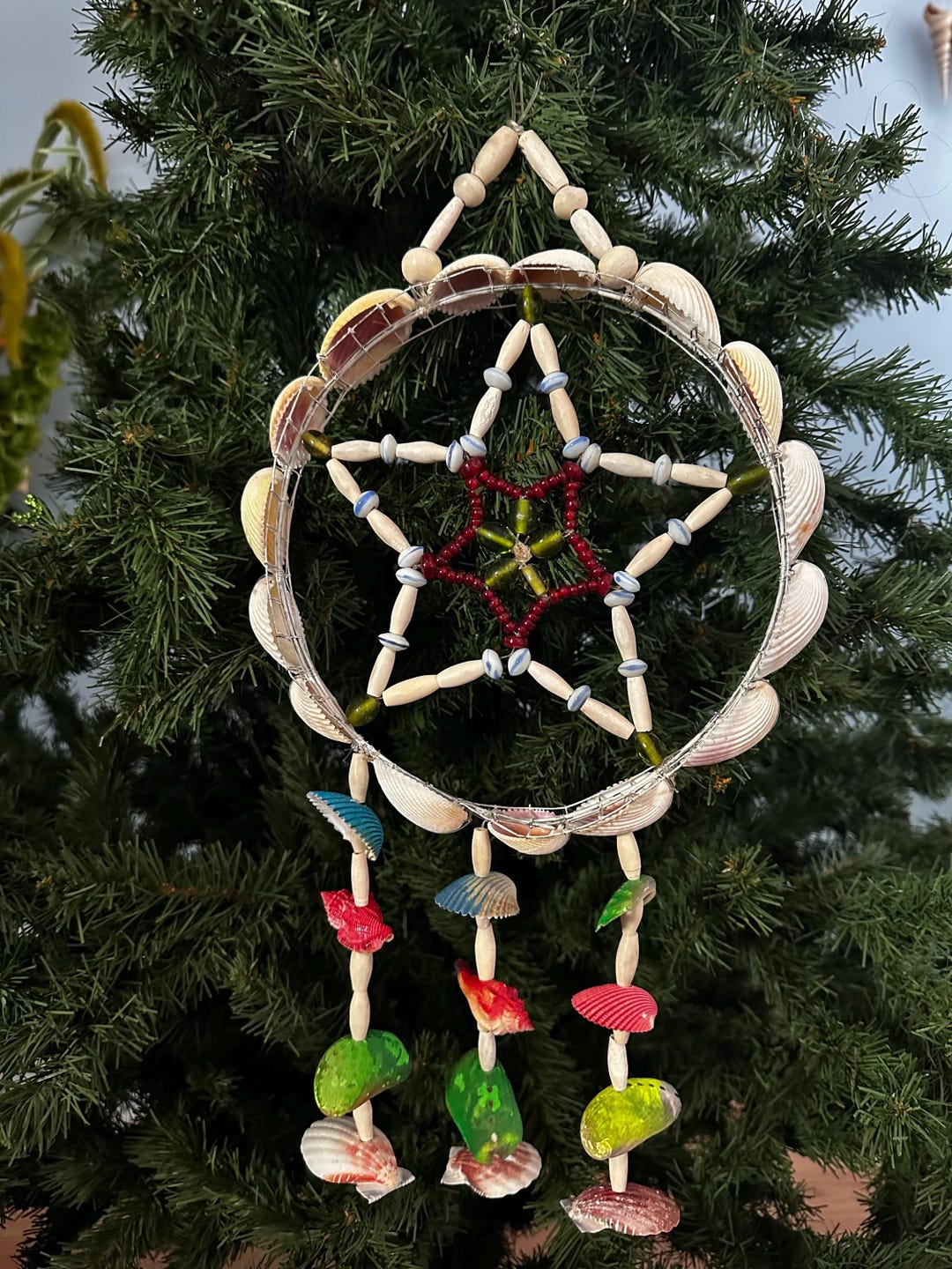 Handmade Star Seashell Lantern 8” X 16” - Etsy