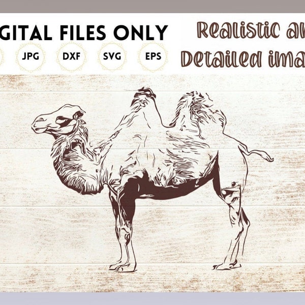 Hump Camel - Etsy