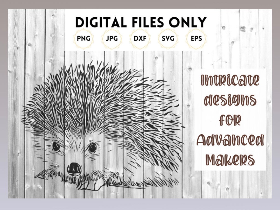 Baby Hedgehog SVG Cricut Cut File Digital Download for Animal Lovers ...