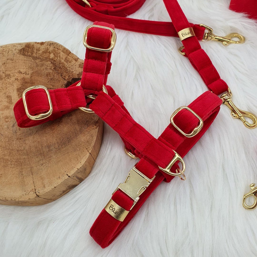 Adjustable Red Dog Harness, Velvet Dog Harness, Winter Dog Harness ...