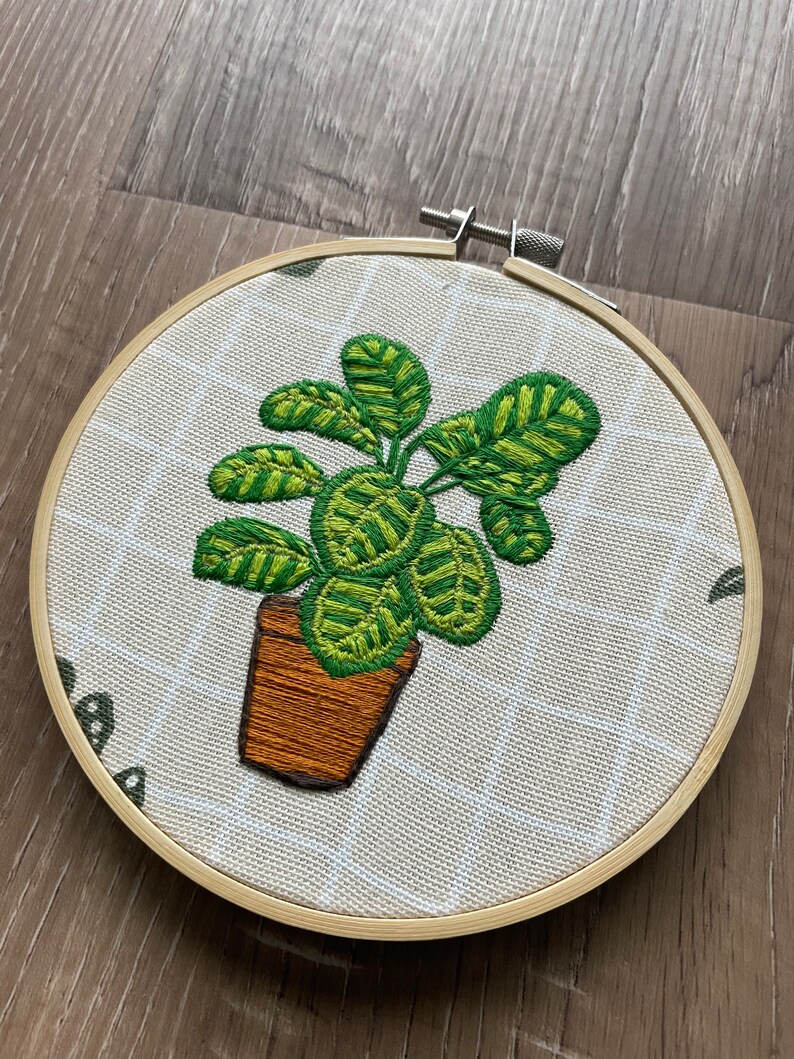 Calathea Plant Embroidery - Etsy