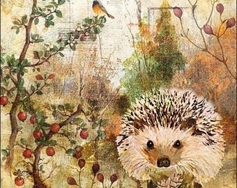 Hedgehog Tissue Paper - Etsy