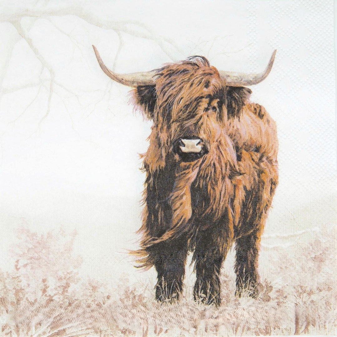 3 Decoupage Paper Napkins Scottish Highlander Cattle Crafting Tissue - Etsy