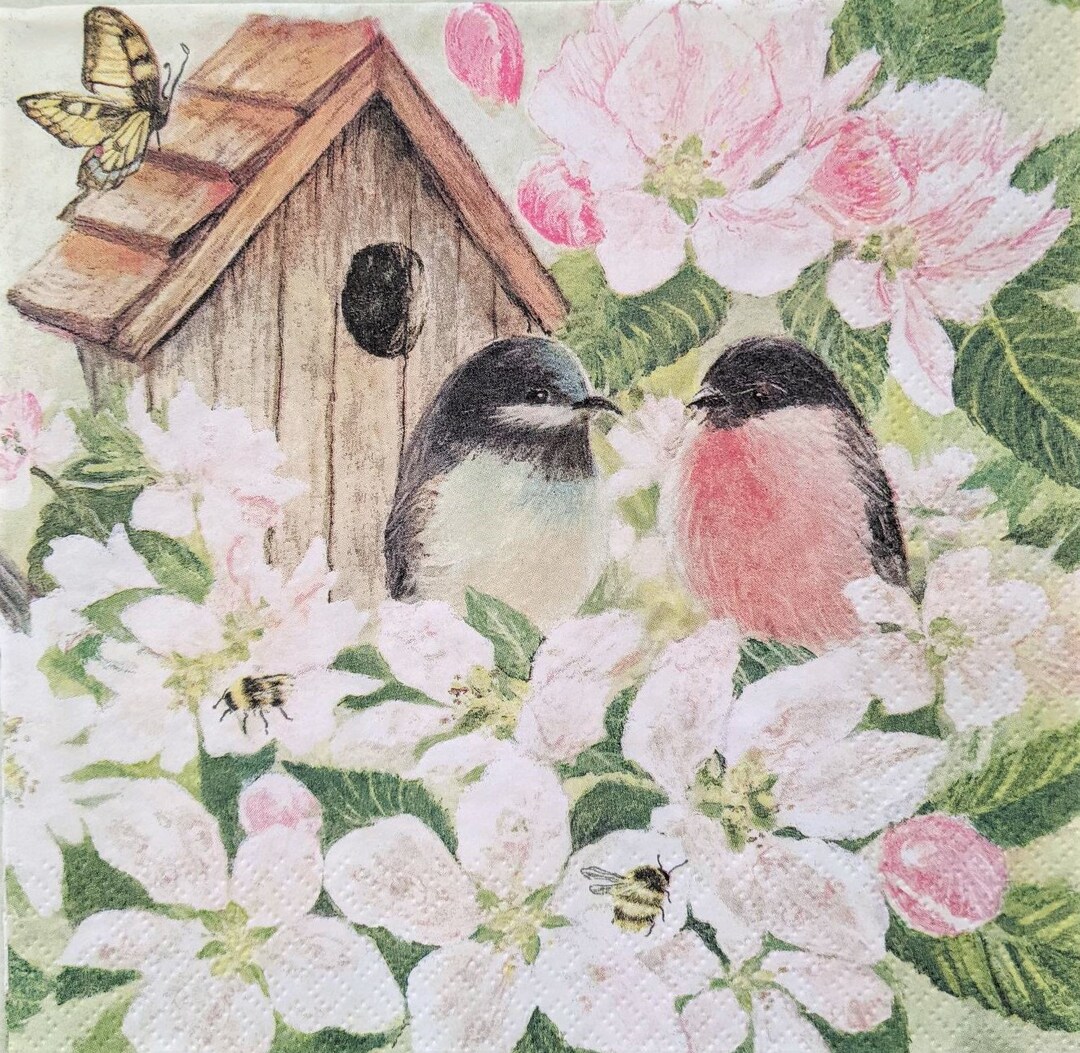 3 Decoupage Paper Napkins Birds in Springtime Crafting - Etsy
