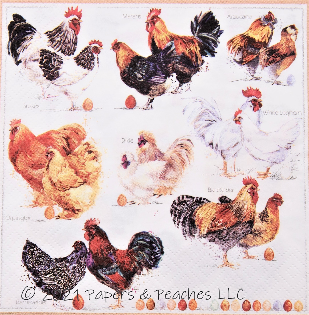 3 Decoupage Paper Napkins | Heritage Chickens | Farmstyle | Crafting ...