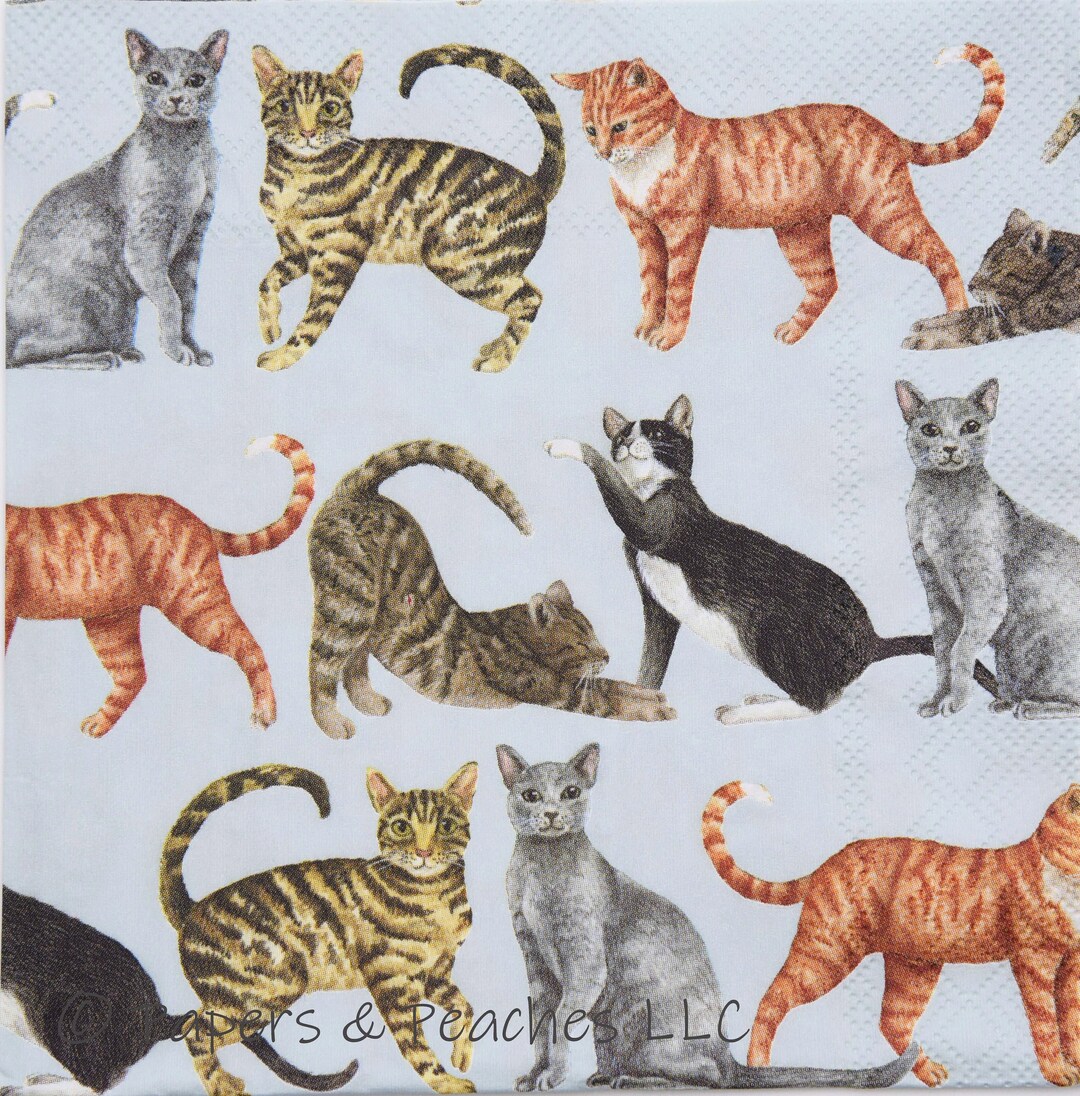 3 Decoupage Napkins | Cat Show | Paper Napkins | Crafting Tissue | - Etsy