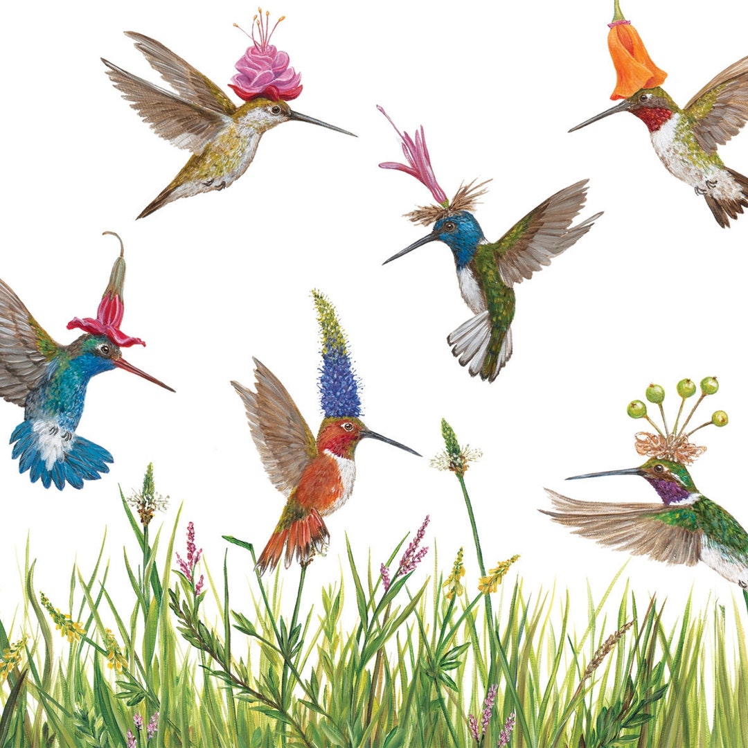 20 Pack Decorative Paper Napkins | Silly Hummingbirds | Decoupage ...